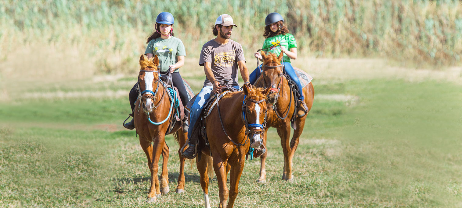 LD Training – Just another WordPress site